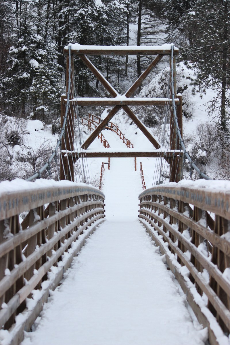 Composition – Amanda Roy